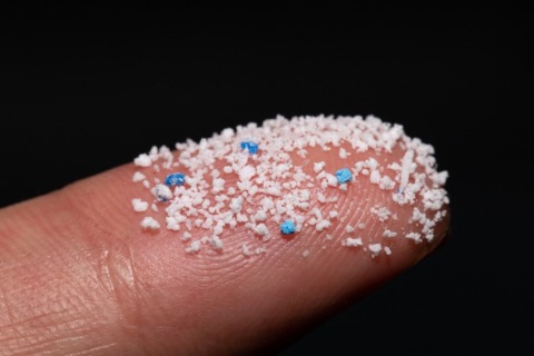 Small Plastic pellets on the finger.Micro plastic.air pollution | 株式会社日向